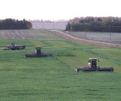 Processing – Summit Forage Products