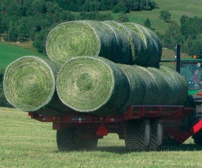 Processing – Summit Forage Products