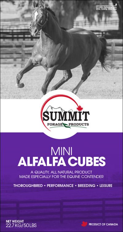 Mini Alfalfa Cubes – Summit Forage Products